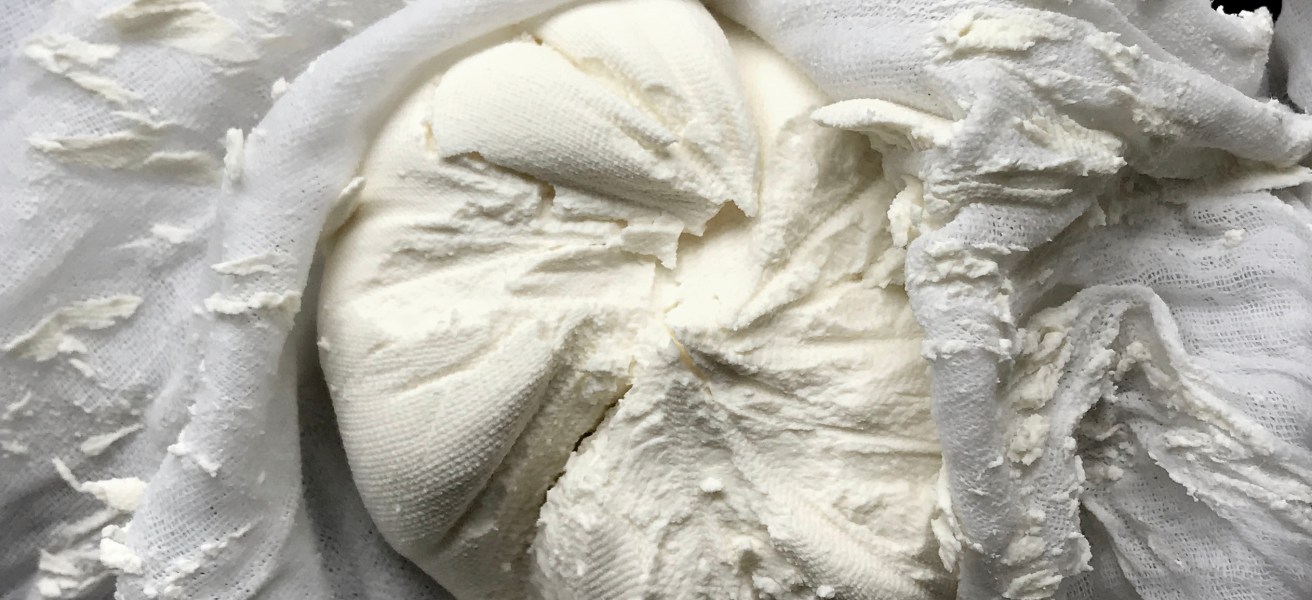 Homemade labneh